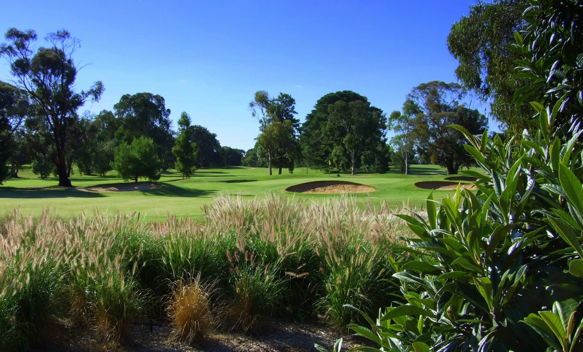 Cobram Barooga Golf Club - GMGA: Goulburn Murray Golf Association