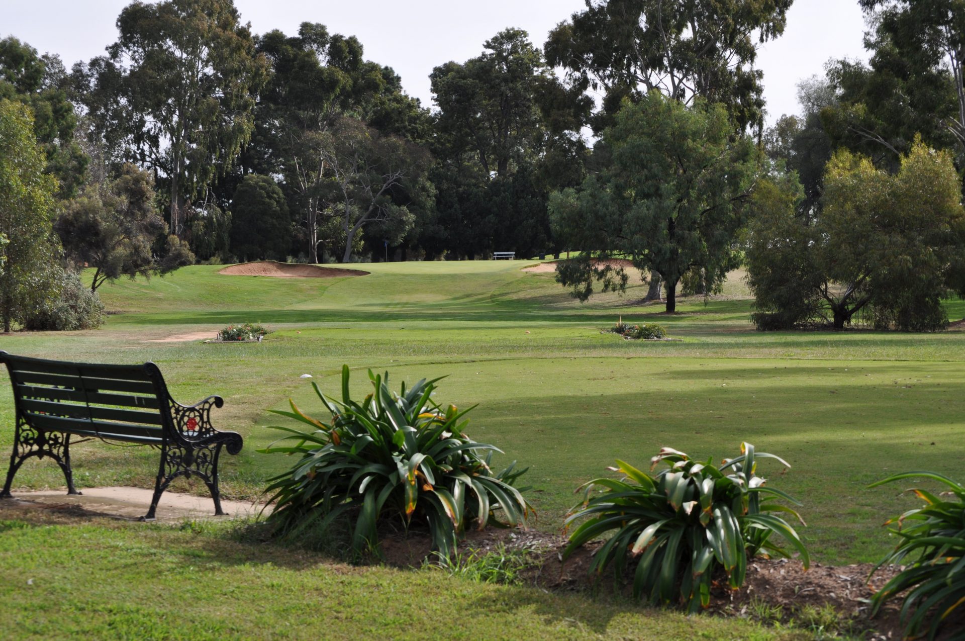 Numurkah Team Win Joyce Broadbent Shield - GMGA: Goulburn Murray Golf ...