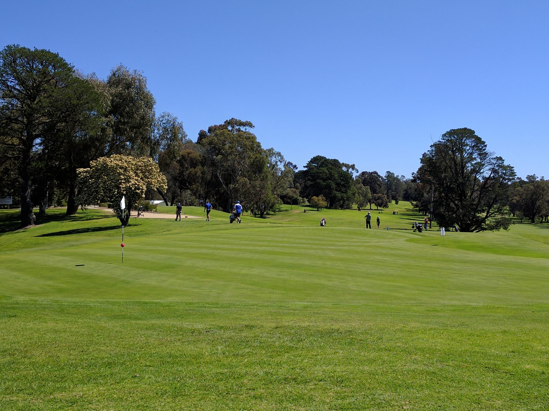 Visionary of The Year Monthly Winner- Hamilton Golf Club - GMGA ...